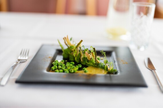 Biological Medicine & Retreat Clinic in Switzerland – BioMed Sonnenberg