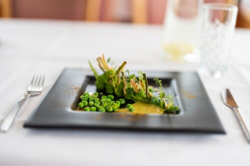 Biological Medicine & Retreat Clinic in Switzerland – BioMed Sonnenberg